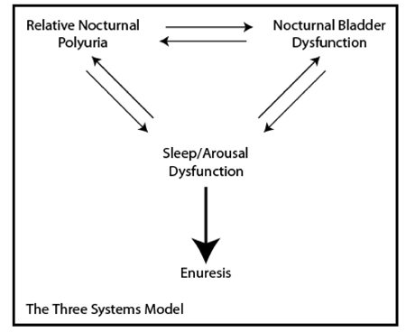 Nocturnal enuresis